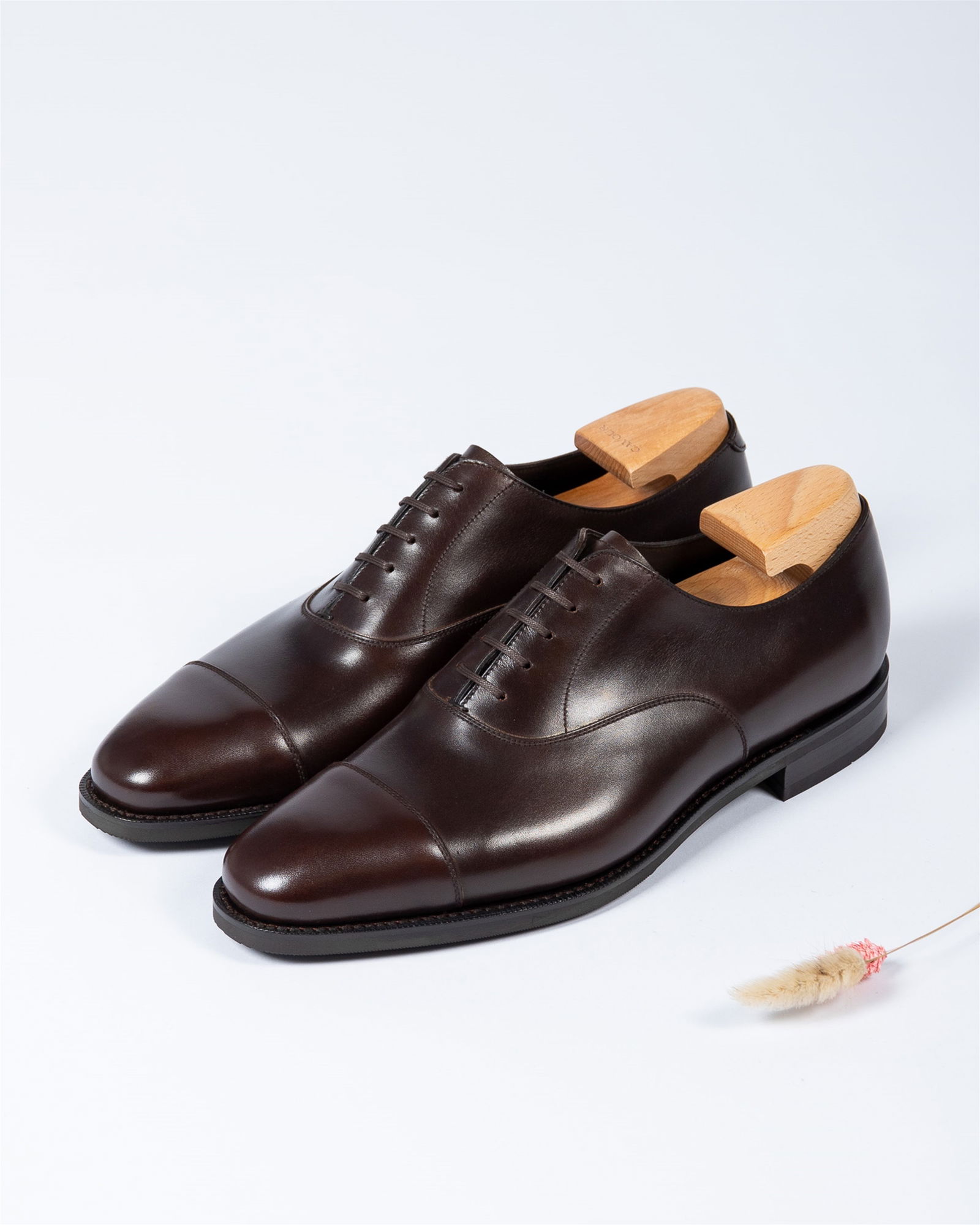 Cap Toe Soft Chisel Brown - Oxfords - Cavour